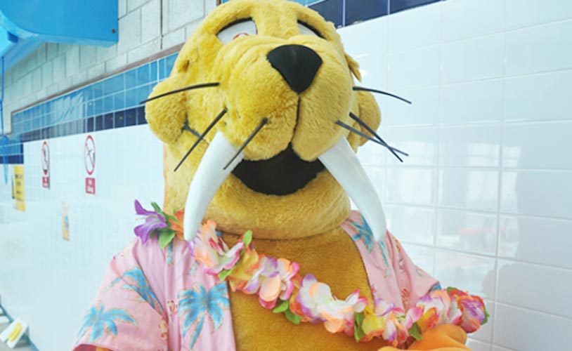 Wally Walrus | Fun Swim Sessions | Active Tameside